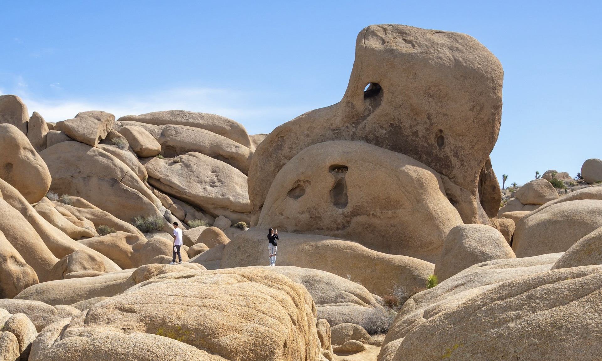 The Ultimate Joshua Tree National Park Itinerary: 1 and 2 Day Options ...
